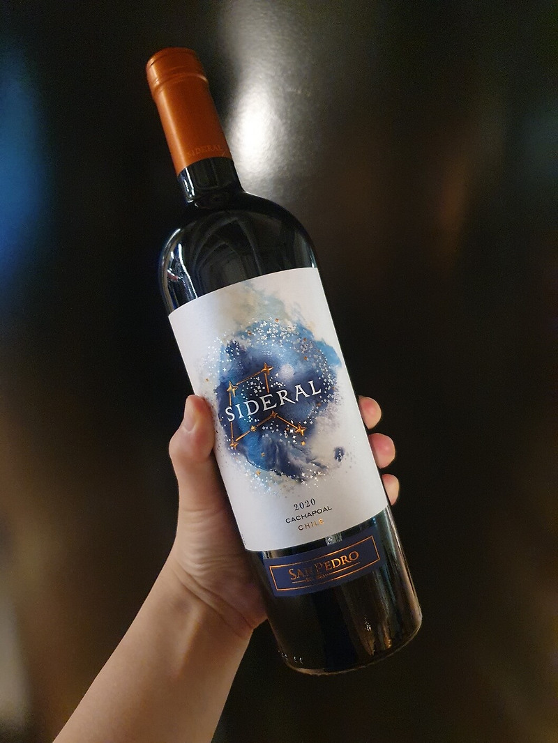[와인] 산 페드로, 시데랄 2020 (San Pedro, Sideral 2020) 가격, 맛, 향, 후기 / 칠레와인 추천