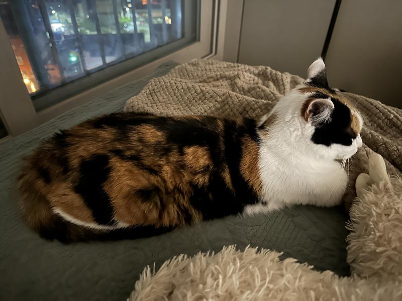 너무나 다른 우리 ㅋㅋ (feat. 요미 건이 사랑이)