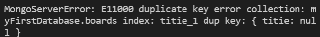 [오류/해결] MongoServerError: E11000 duplicate key error collection: