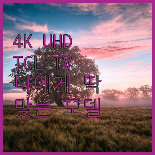4K UHD TCL TV 선택 가이드 나에게 딱 맞는 모델은