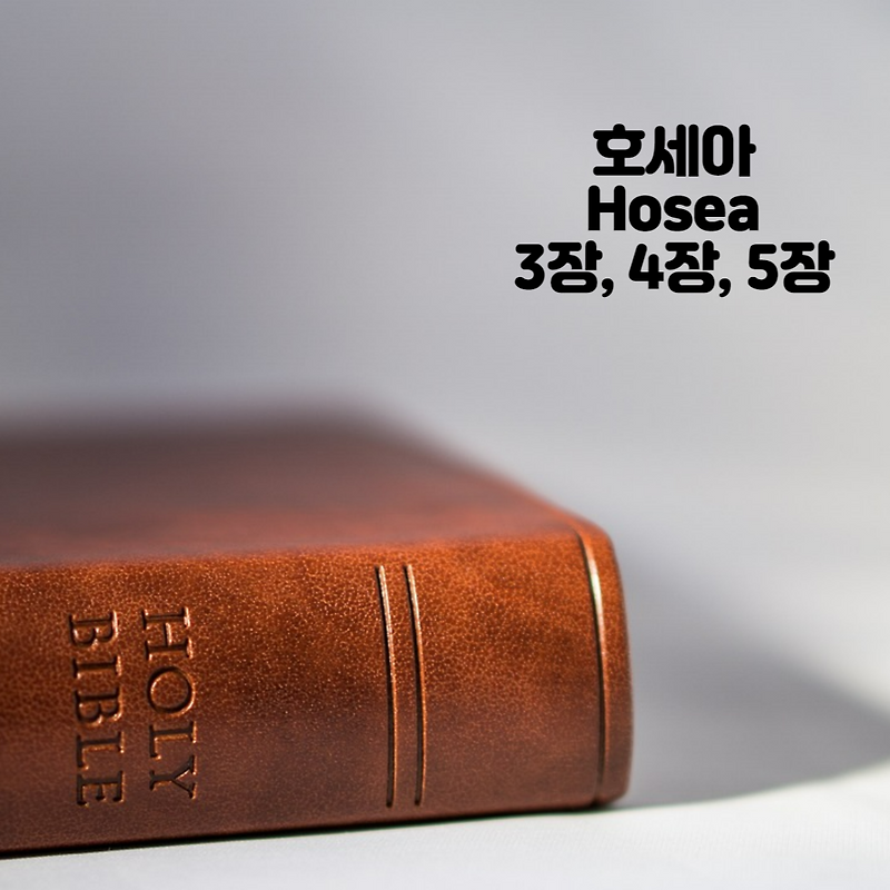 Holy BIBLE 생명의 삶 영어 한글 성경 말씀 - 호세아(Hosea) 3장, 4장, 5장