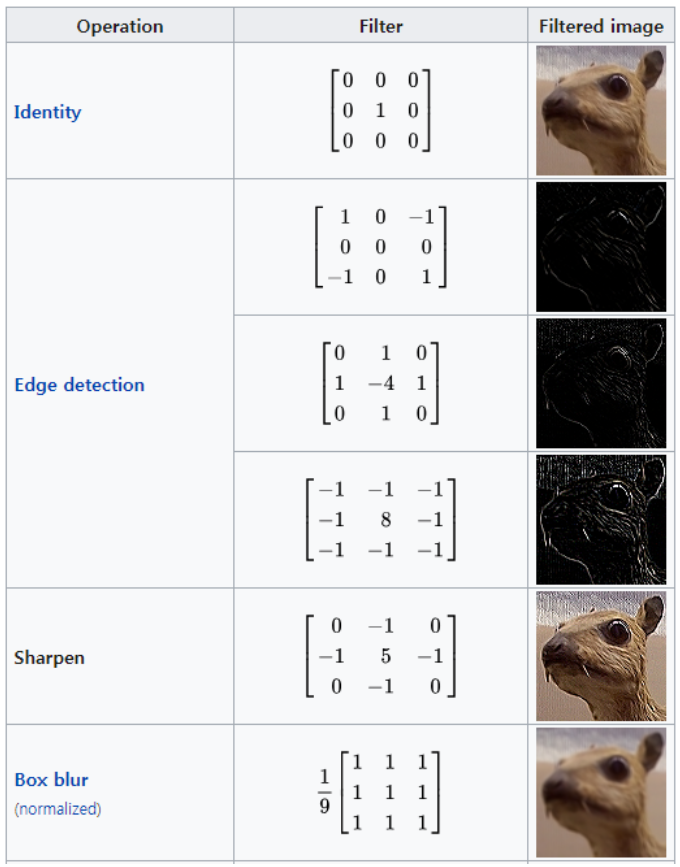 CNN (Convolutional Neural Network) 개념