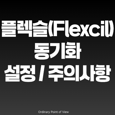 플렉슬(Flexcil) 동기화 설정 및 주의사항