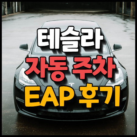 [테슬라] Model Y 자동 주차 EAP 후기