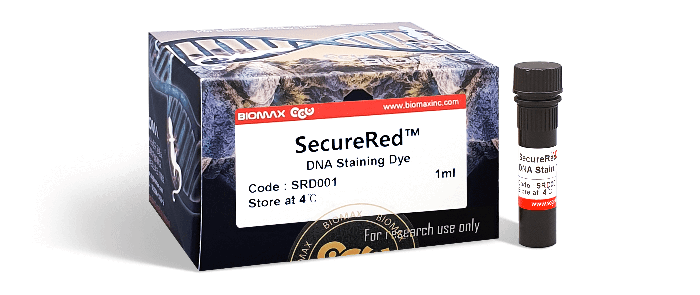 SecureRed™ DNA Staining Dye :: BIOMAX.COM