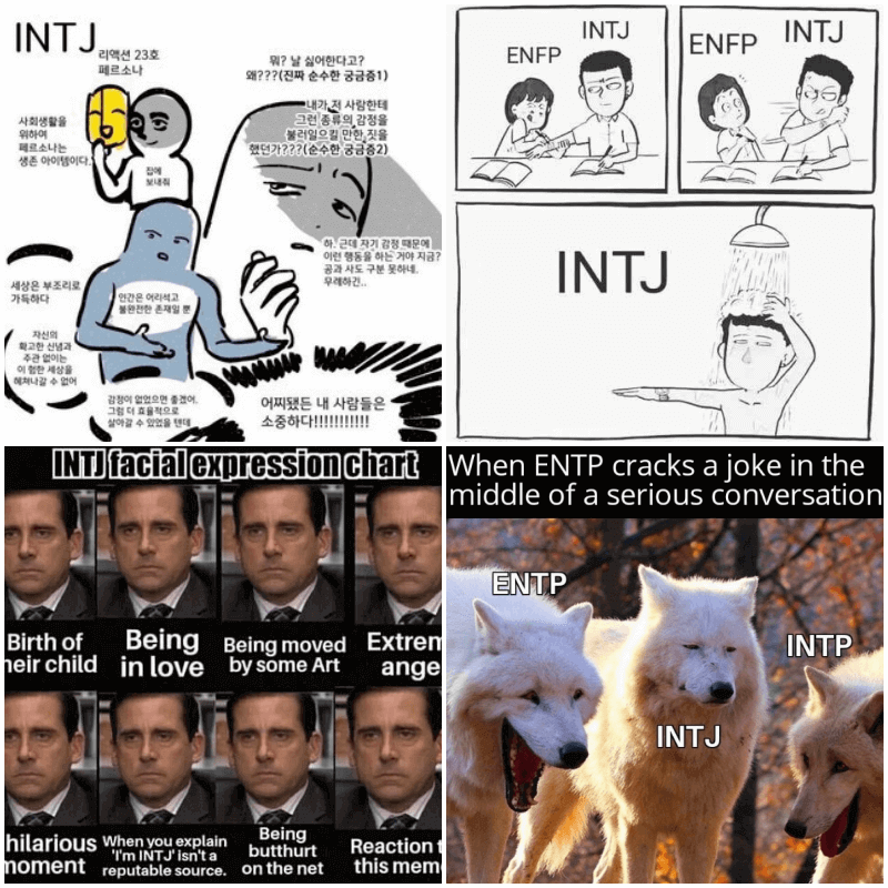 MBTI: INTJ 특징, 연애, 궁합, 짤, 밈, 팩폭, 인티제 특징, 인티제 연애