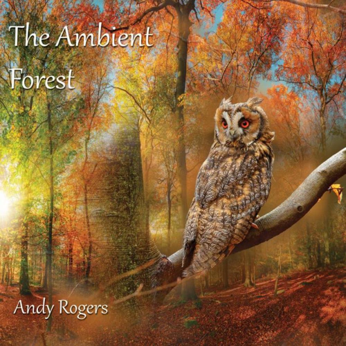 Andy Rogers - the Ambient Forest (2024)
