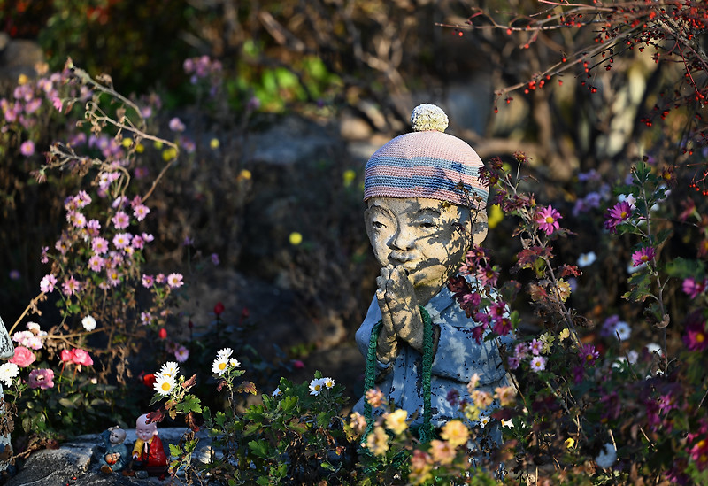 경주 기림사 꽃(11/29)
