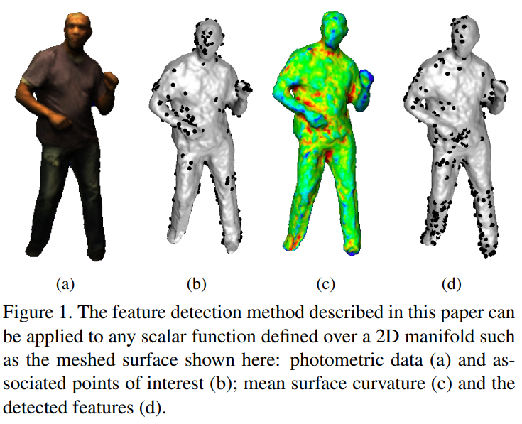 Surface Feature Detection and Description with Applications to Mesh Matching, 2009