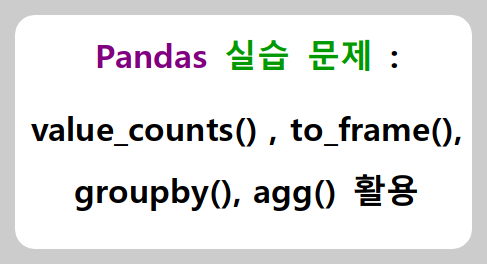 Pandas 실습 문제 : value_counts() , to_frame(), groupby(), agg() 활용