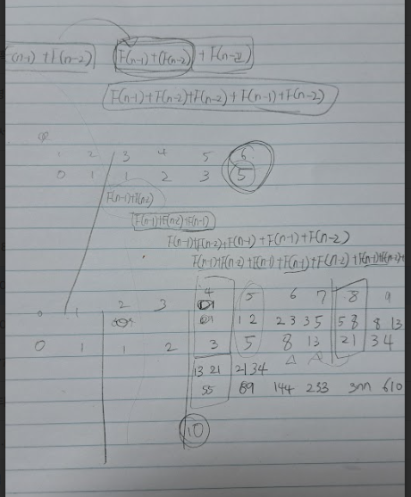 11444 피보나치 수 6