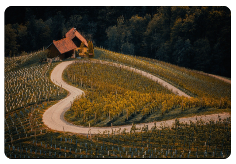 [Vue/Nuxt] 뷰 mounted() 이용해서 이미지에 효과 넣기 :: Jae Front-end Study