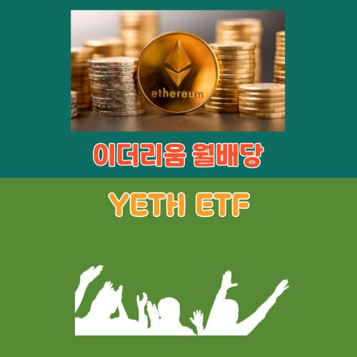 이더리움 월배당 커버드콜 YETH ETF 배당금 수익률