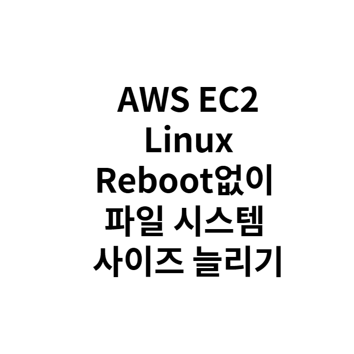 [AWS] EC2 모노릭틱(monolithic architecture) 서버 끄지 않고 러닝 상태에서 디스크/파티션 용량 사이즈 ...