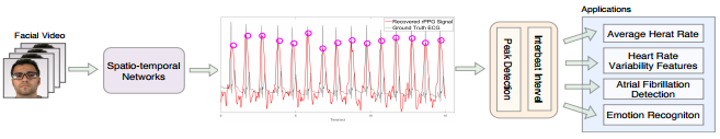 Remote Photoplethysmograph Signal Measurement from Facial Videos Using ...
