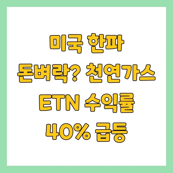 미국 한파 돈벼락? 천연가스 ETN 수익률 40% 급등
