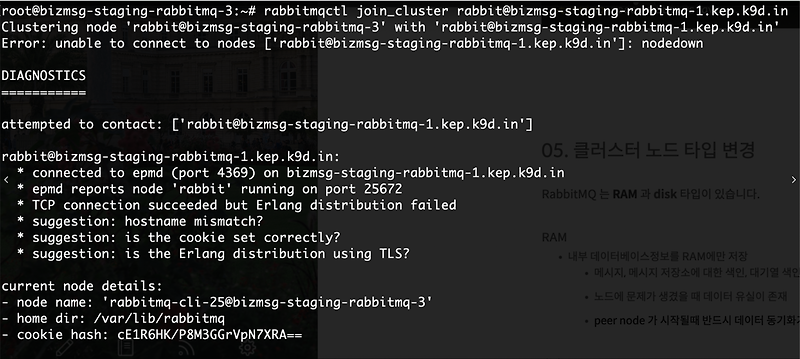 RabbitMQ Cluster 구성