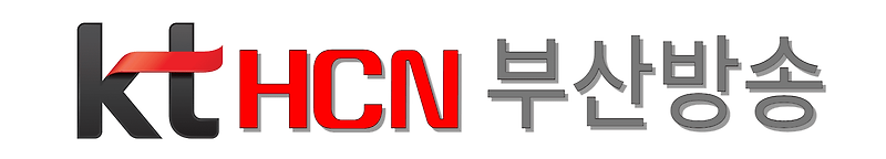 KT HCN 부산방송 편성표 채널번호 한번에 해결