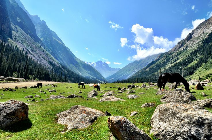 몽골 같은 초원 키르기스스탄 나라의 여행