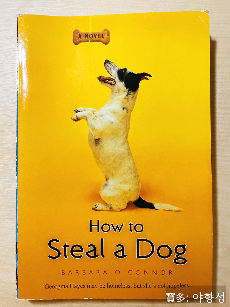 『개를 훔치는 완벽한 방법How to Steal a Dog』: " Georgina Hayes may be homeless ...