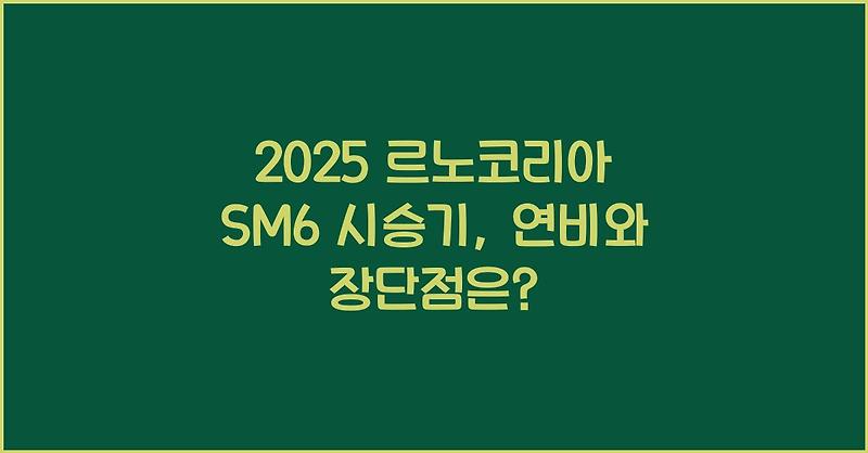2025 르노코리아 SM6 시승기, 연비와 장단점은?