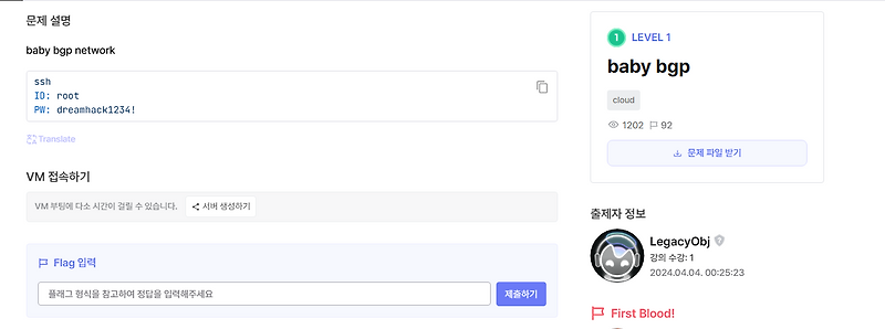[178] IT 비전공자 [dreamhack] baby bgp문제풀기