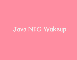 [Java NIO] Selector Wakeup 알아보기 :: 코딩수집