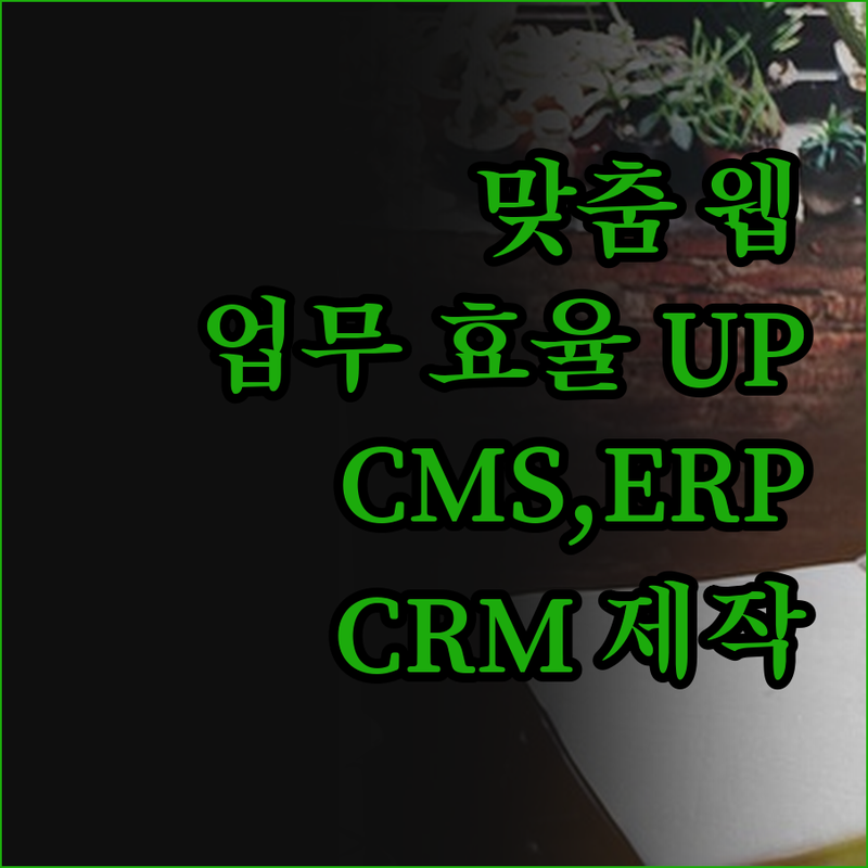 맞춤형 웹 솔루션! CMS, ERP, CRM 제작으로 업무 효율을 극대화하세요!
