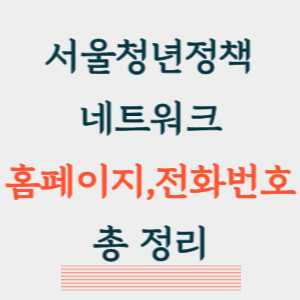 서울청년정책네트워크 홈페이지 바로가기, 전화번호 총 정리했어요(https://youth.seoul.go.kr/network/index.do). - 카카오의사랑
