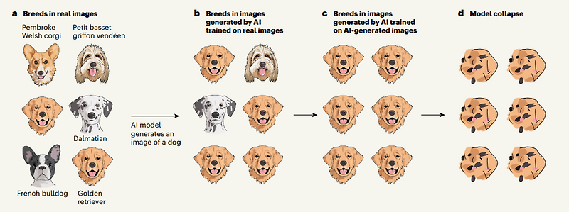 AI models collapse when trained on recursively generated data :: JungSoo_AI_Study