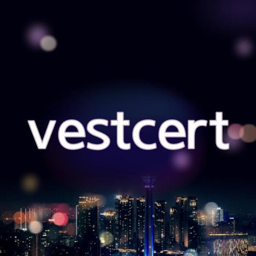 vestcert client 뭐하는 프로그램일까?
