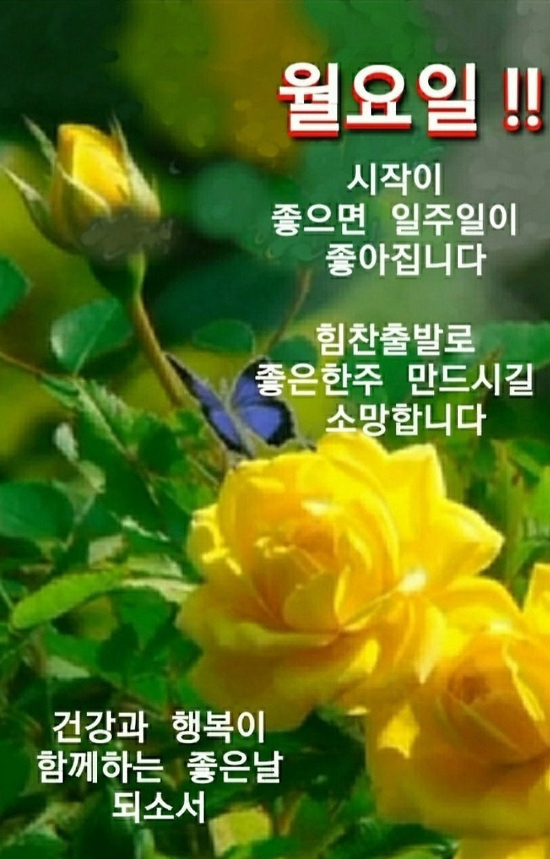 하나님의 구원계획