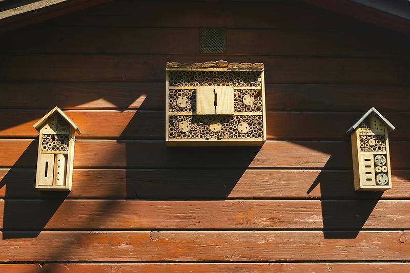 Discover Local Woodcraft Near Me: Craftsmanship, Community, and ...