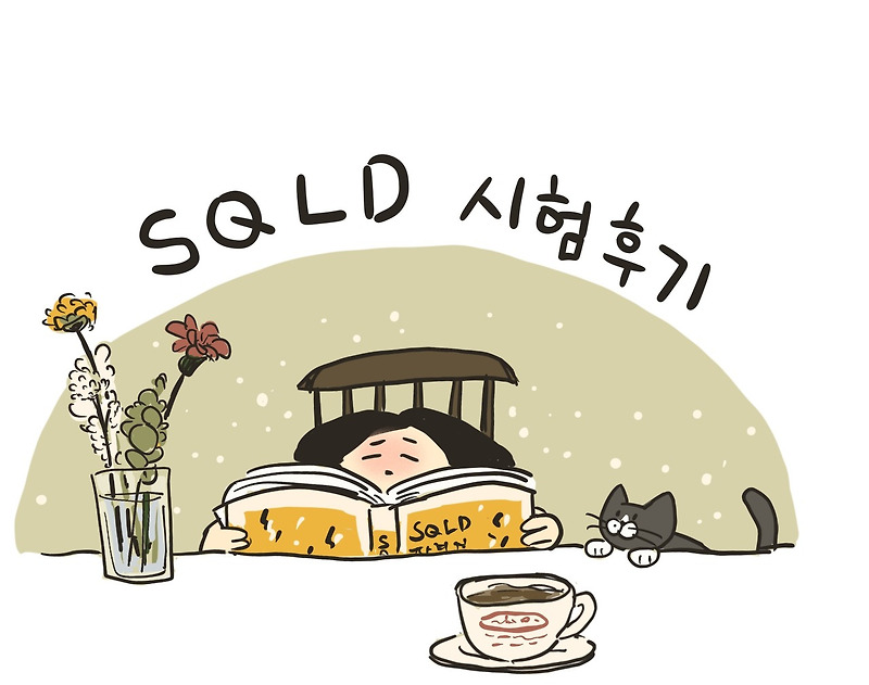 2024년도 53회차 SQLD 시험후기 및 시험 준비과정