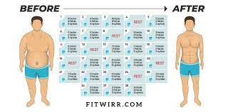 Sculpting Success: The Day-by-Day Journey to Six-Pack Abs | AQi Fitness