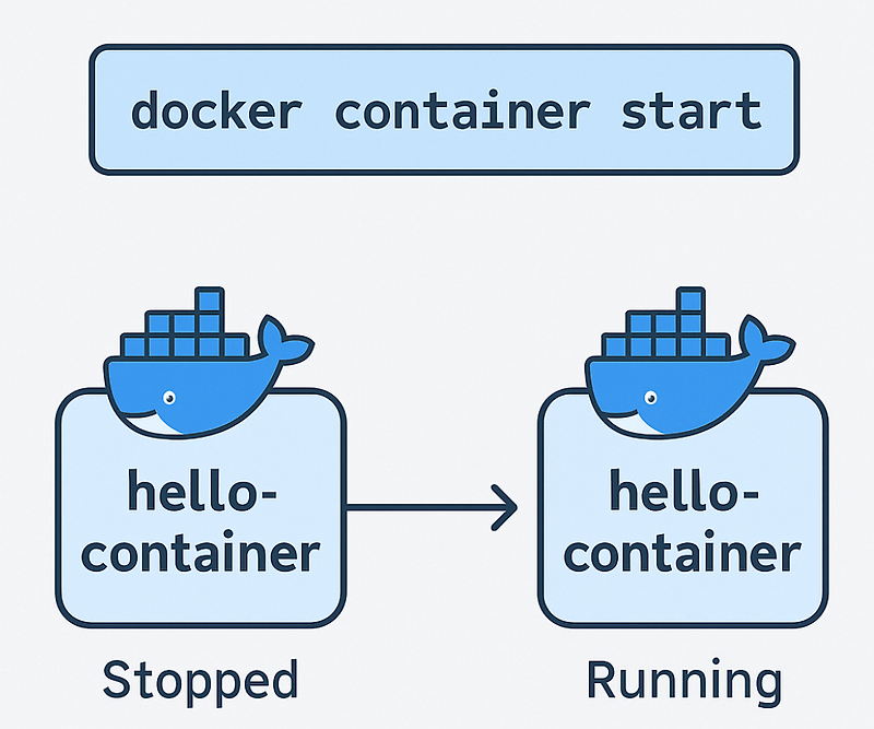 Docker docker container start : 내가 만든 컨테이너를 시작!