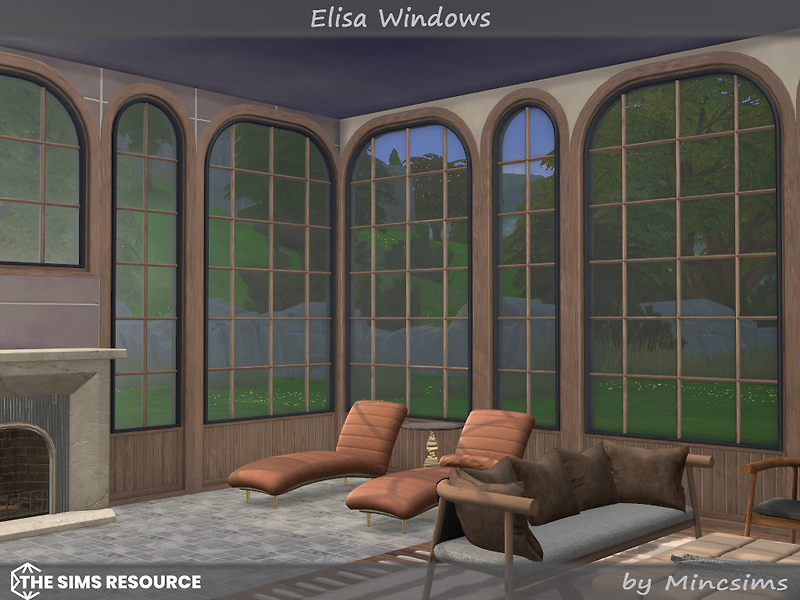 Elisa Windows — MINCSIMS