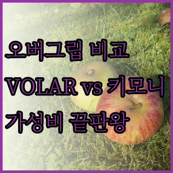 오버그립 12개 세트 비교분석 VOLAR vs 키모니 어떤 제품이 더 가성비 좋을까?