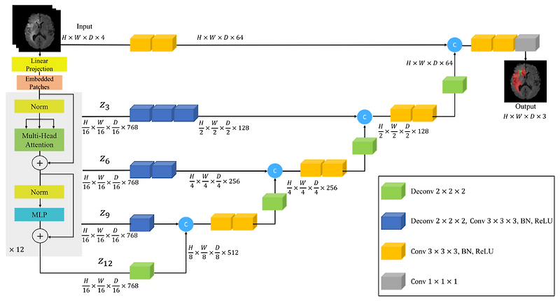 [Paper Review] Self-Supervised_Pre-Training of Swin Transformers for 3D ...