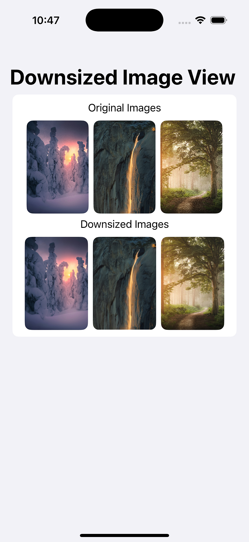 [iOS / SwiftUI] DownsizedImage