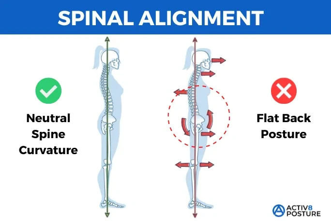 편평등(Flat back)의 원인과 올바른 자세를 위한 해결책, 당신의 자세를 되돌려라!