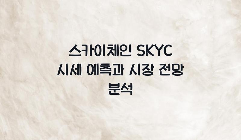 스카이체인 SKYC 시세 예측과 시장 전망 분석