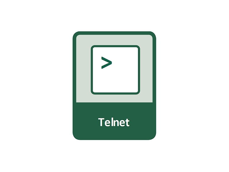 Telnet Over SSL/TLS 과 SSH