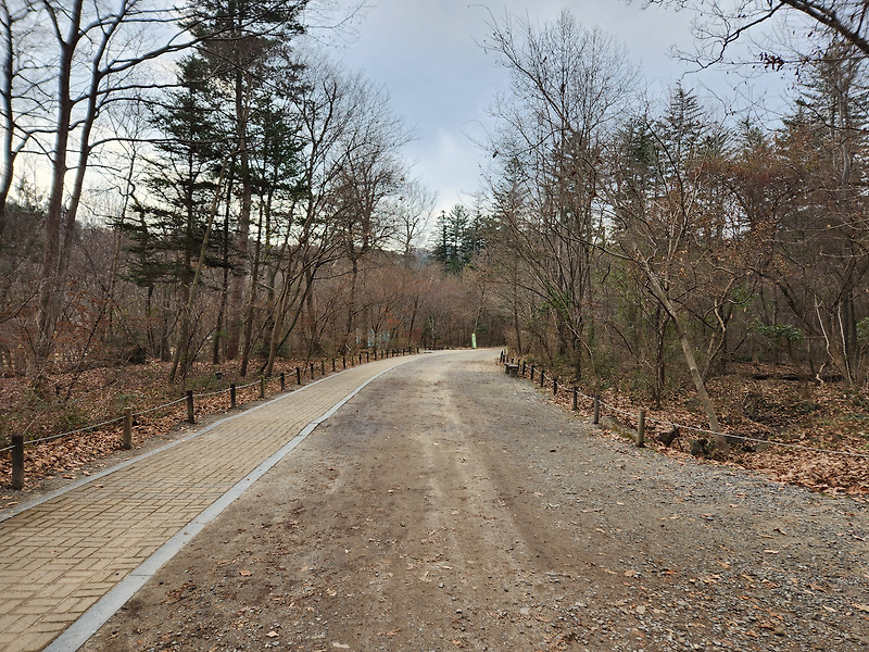 포천 국립수목원 나들이 추천. 주차예약