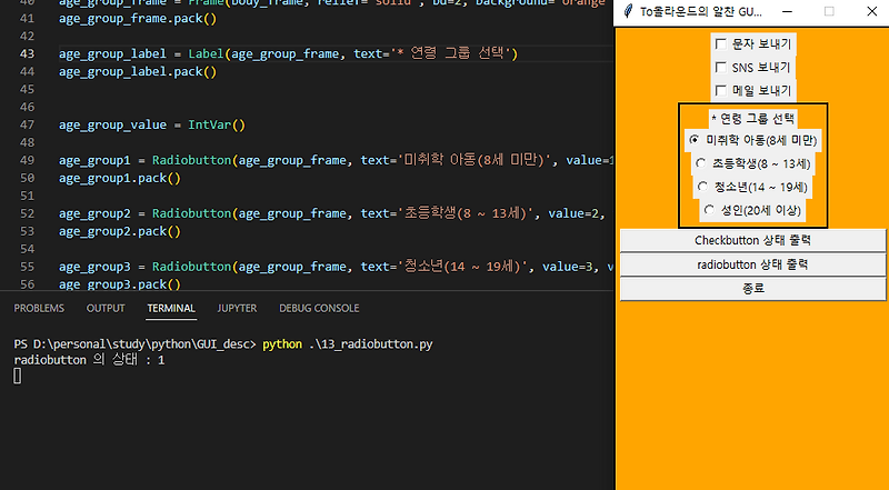 독학 Python Tkinter Gui 14 Radiobutton Labelframe