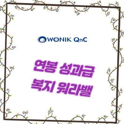 원익큐엔씨 WONIK QNC 2024년 대기업 지정 연봉 성과급 복지 워라밸