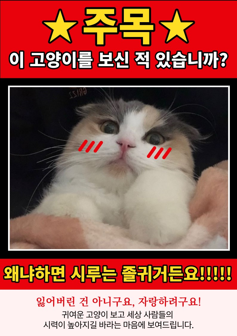 주목해주십셔!