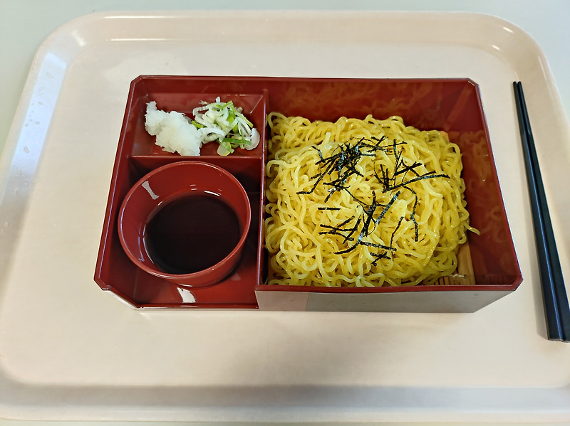 JAIST 생존일지 D+310(8/1) - 적 응 완 료