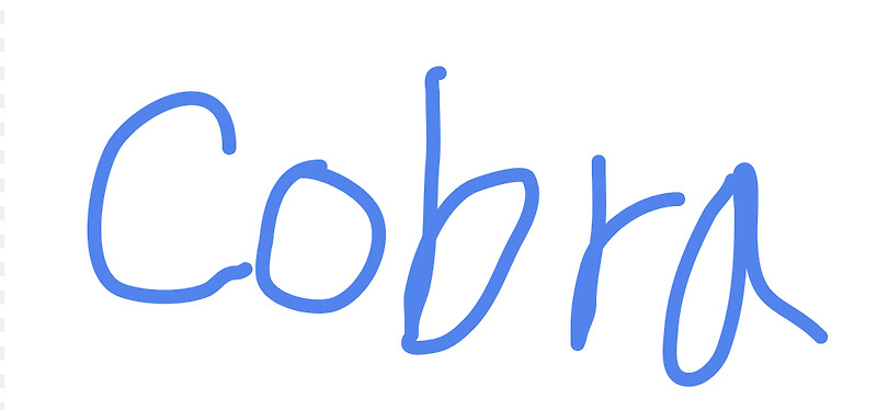 golang cobra :: 코딩수집