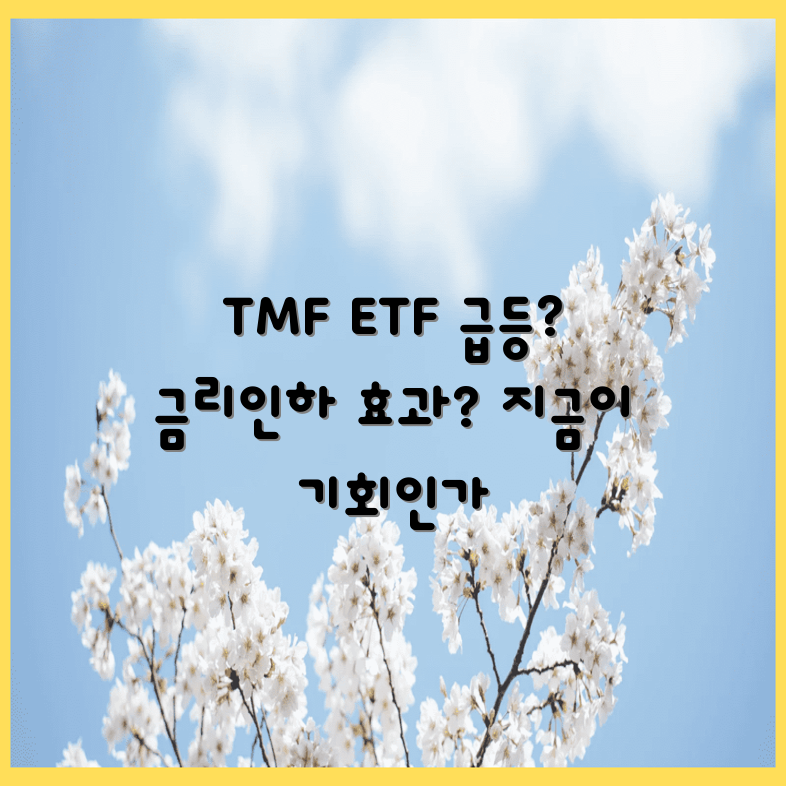 TMF ETF: 금리 인하 타고 주가 급등?